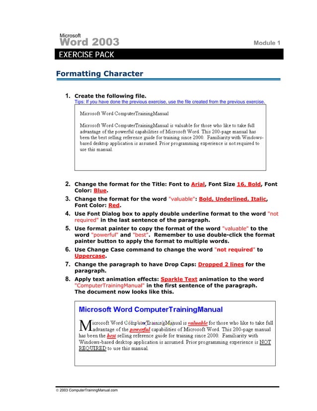 Word exercises (1) | PDF