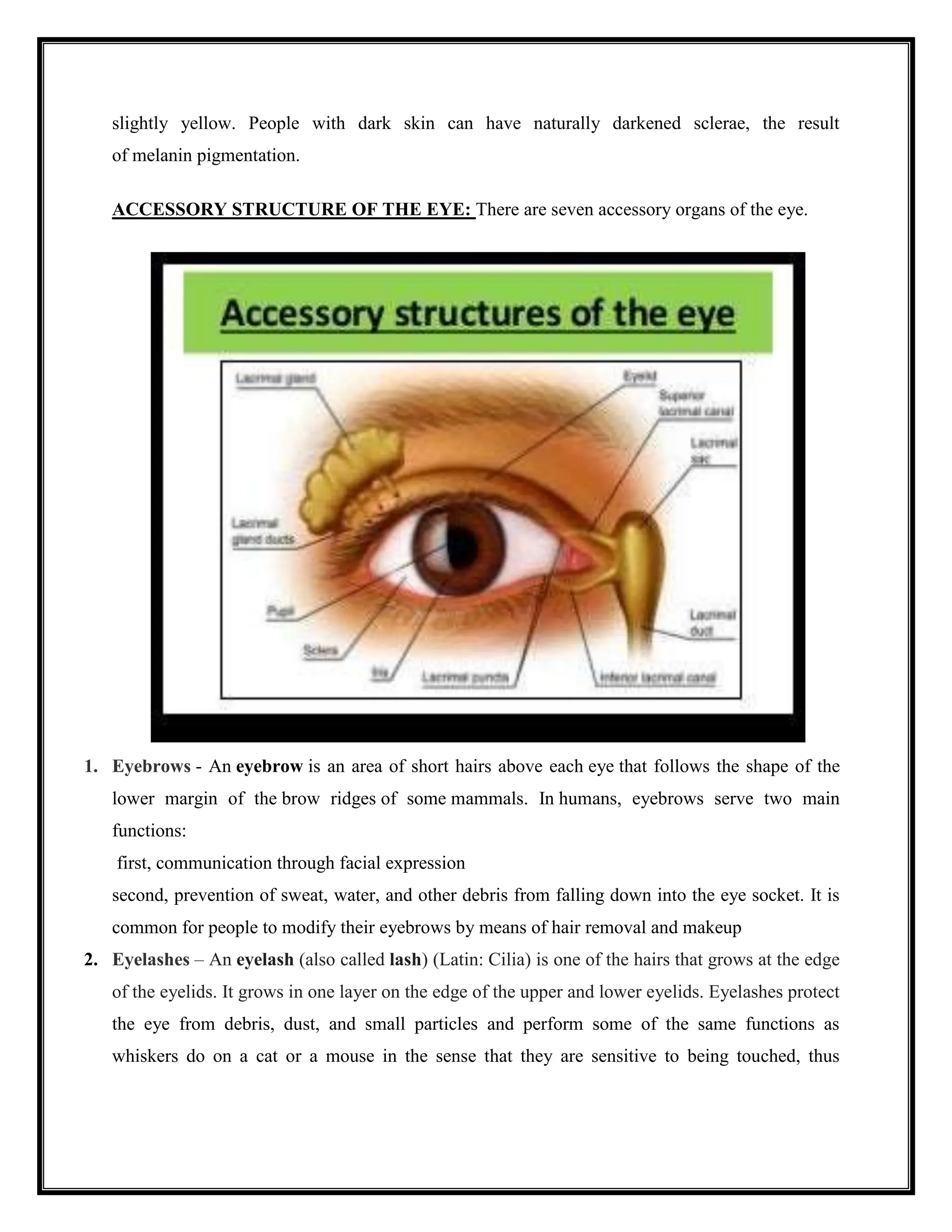 Anatomy of Eye by radhika kulvi, M.Sc nursing | DOCX