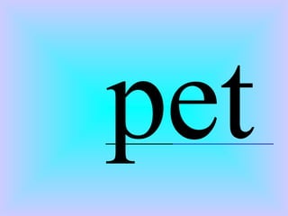 Word Families Practice | PPT