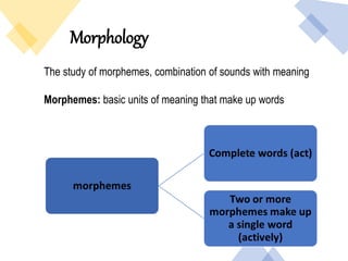 Word formation | PPTX