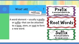 Word formation introduction | PPTX