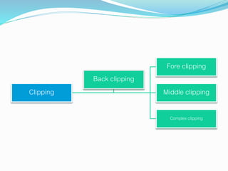 Word formation process | PPTX