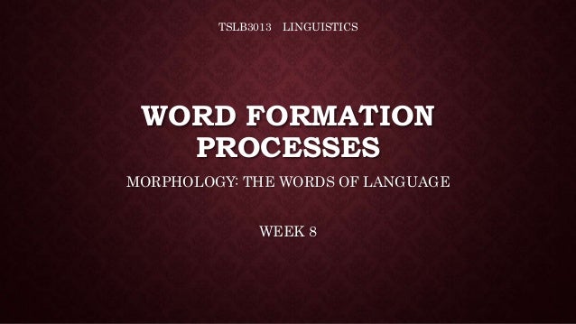 TSLB3013 Linguistics Word Formation Processes tslb3013-linguistics-word-formation-processes