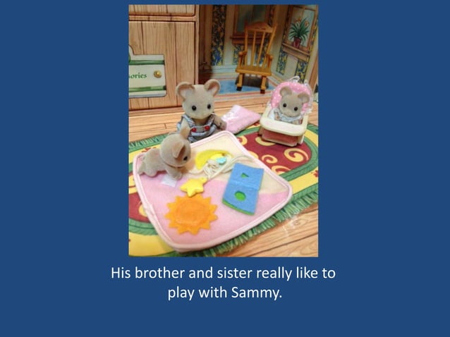 Wordless Picture Book | PPTX