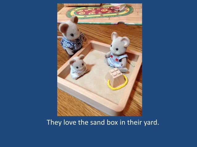 Wordless Picture Book | PPTX