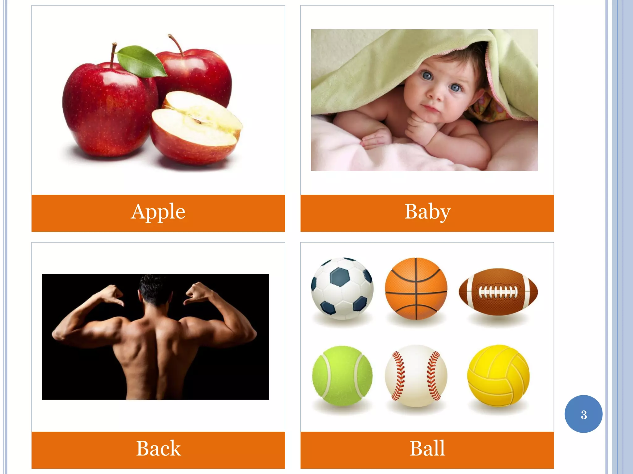 Flash Cards - Dolch Word List (Nouns) | PDF