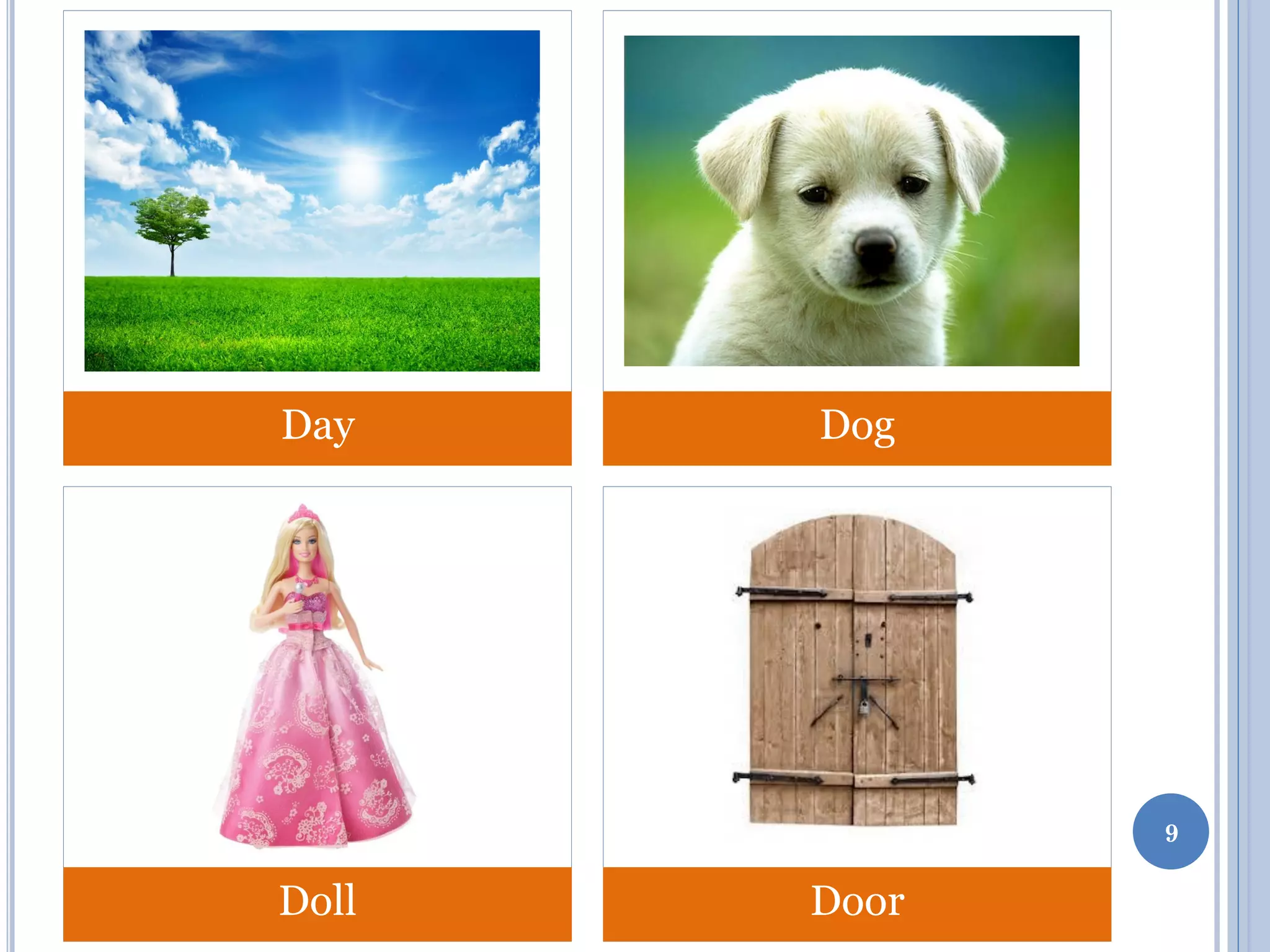 Flash Cards - Dolch Word List (Nouns) | PDF