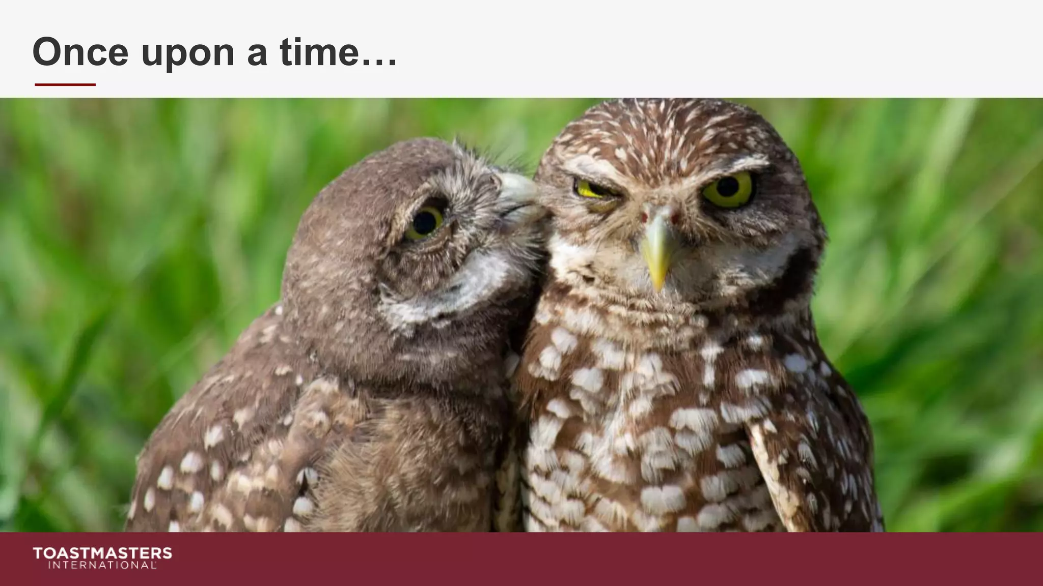 Toastmasters Word of the Day - Feghoot.pptx