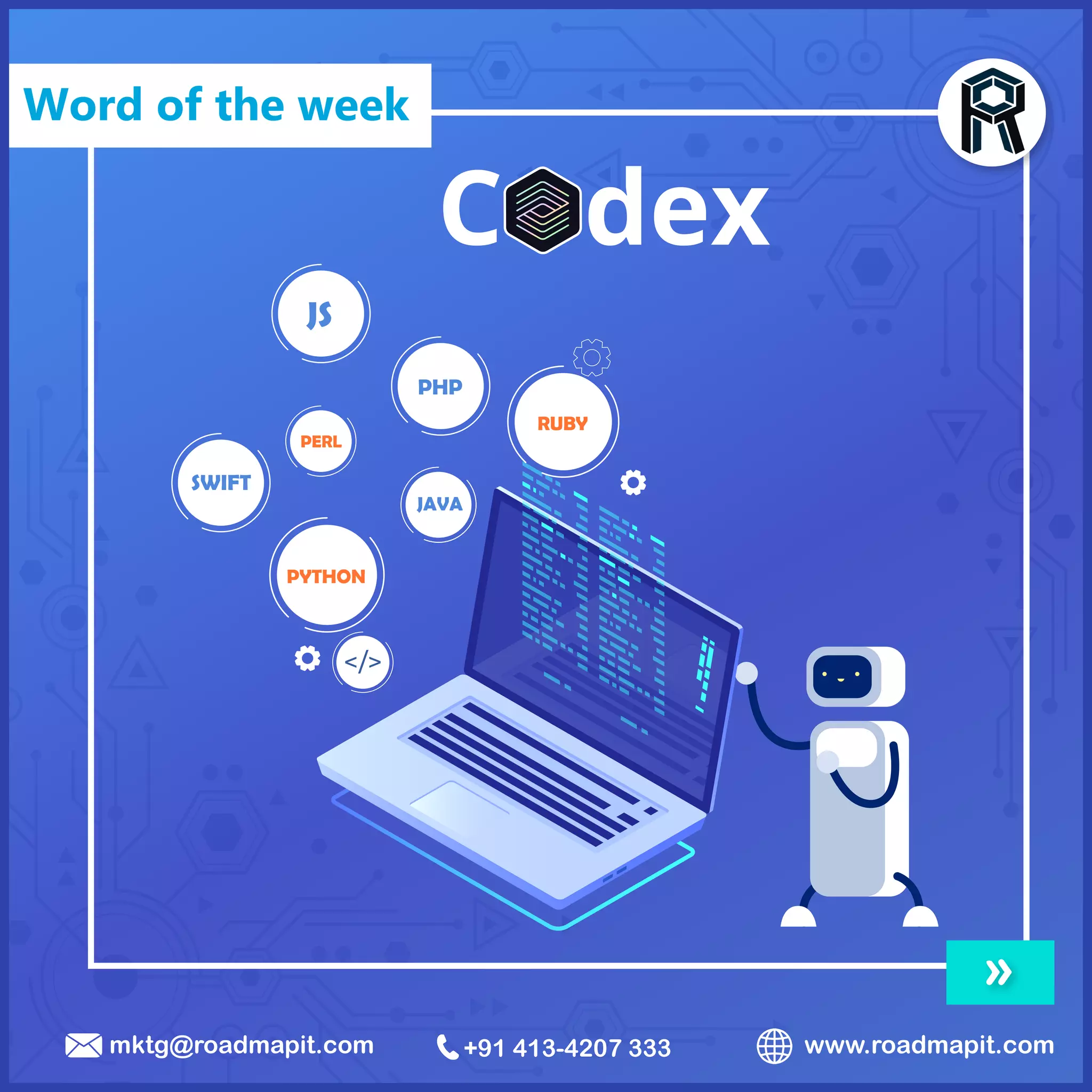 OpenAI's Codex | PDF | Programming Languages | Computing