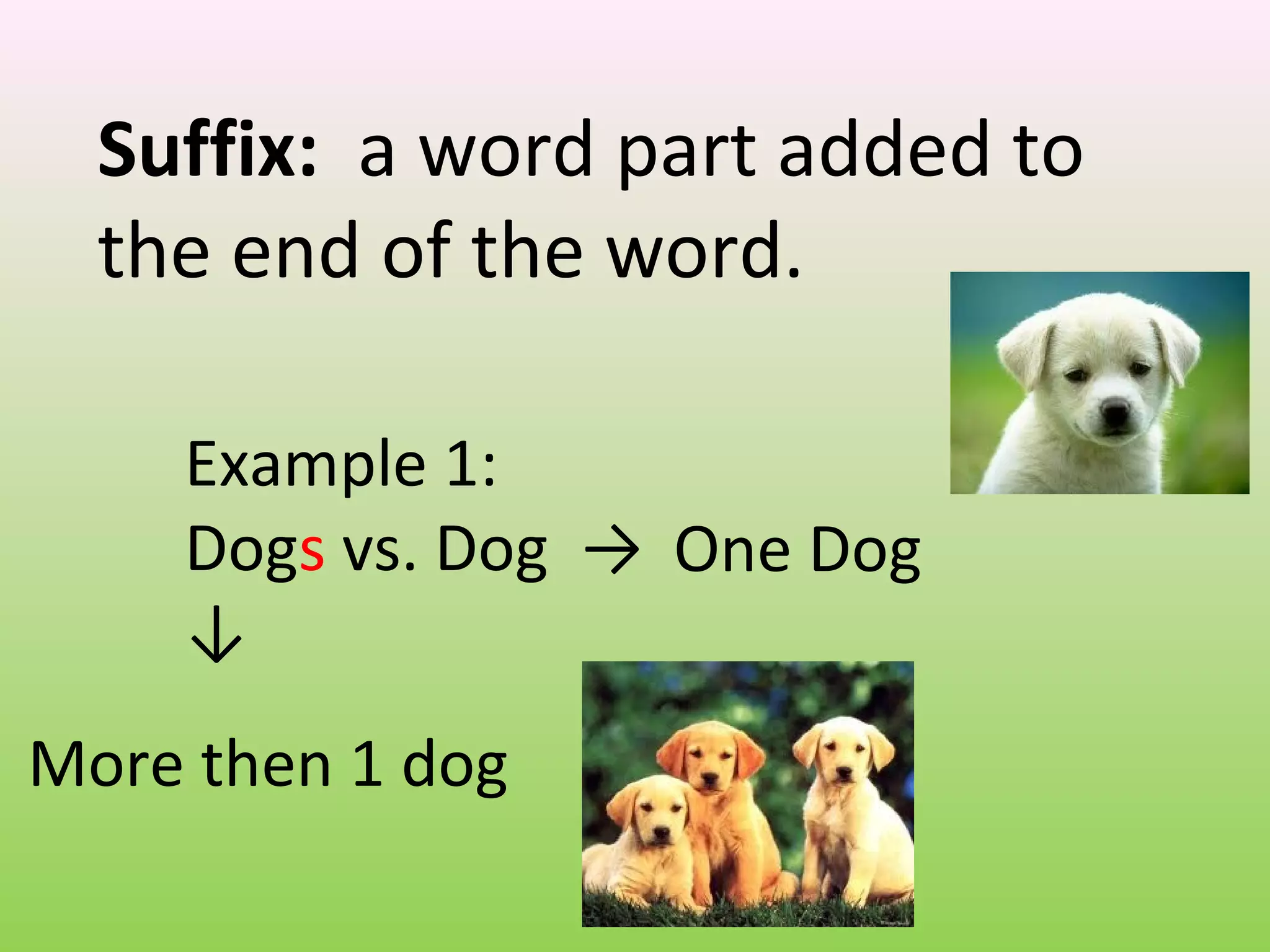 Word parts powerpoint | PPT
