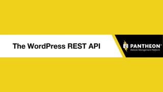 WordPress REST API: Expert Advice & Practical Use Cases | PDF