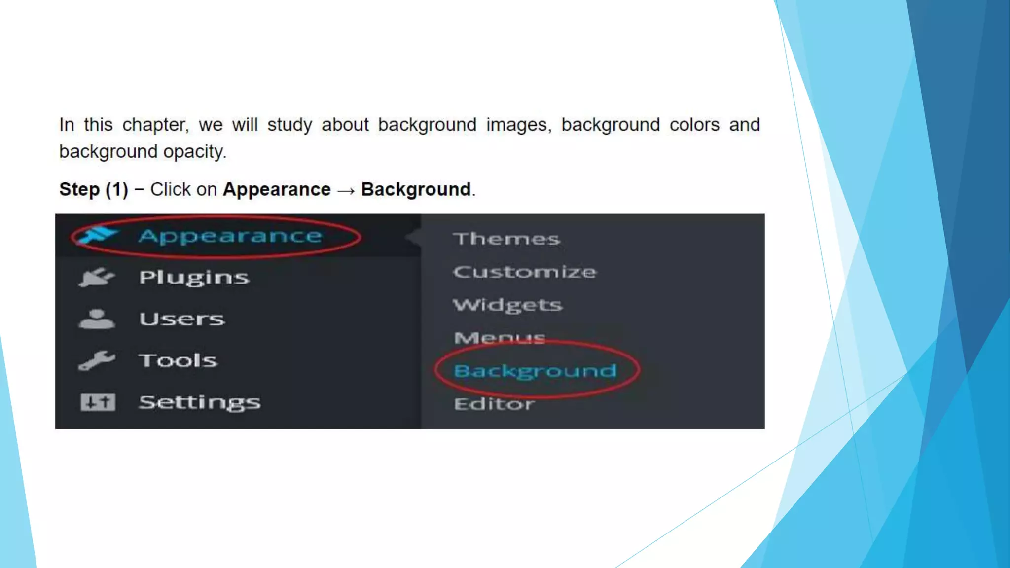Word press background | PPT