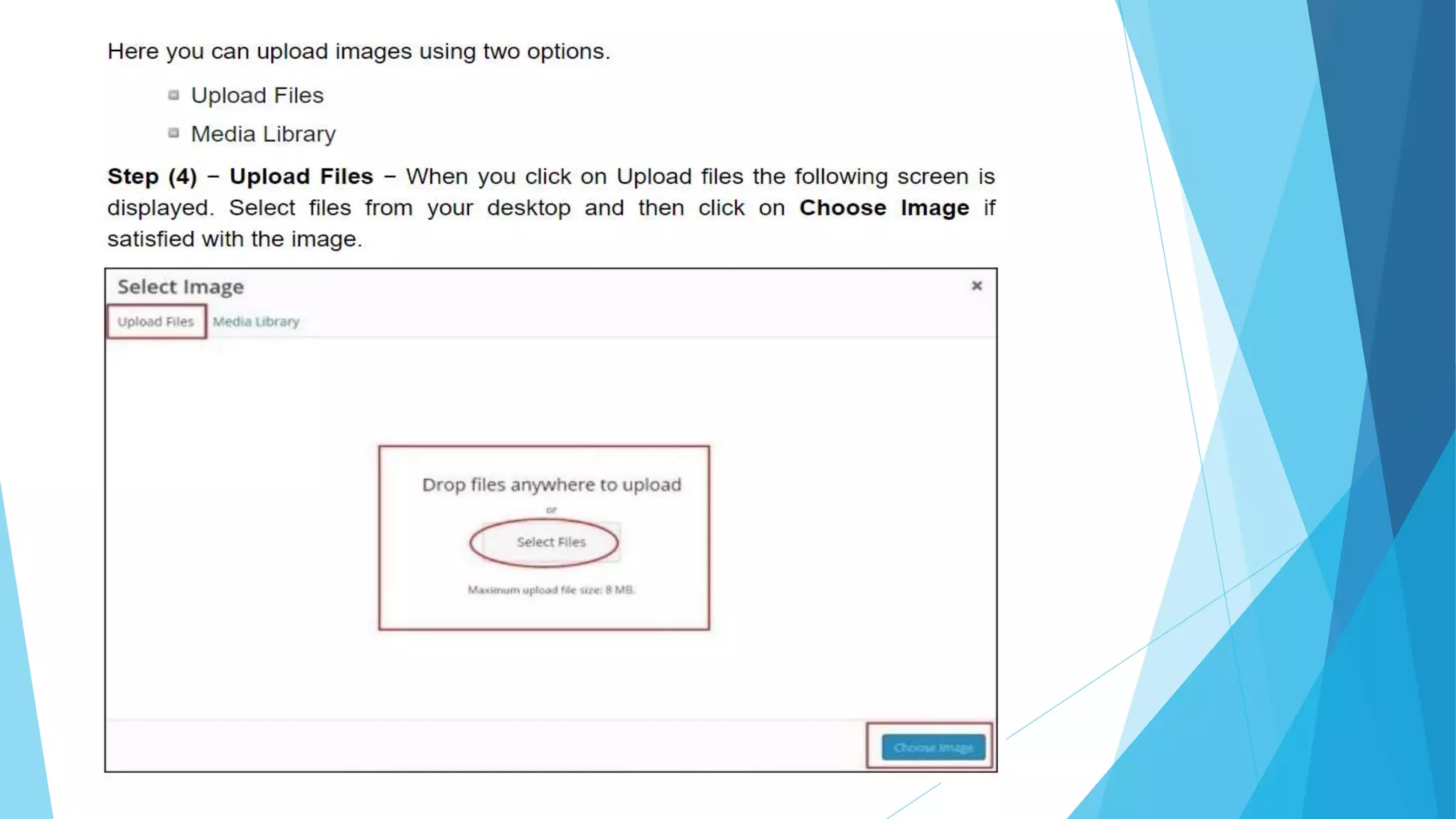 Word press background | PPT