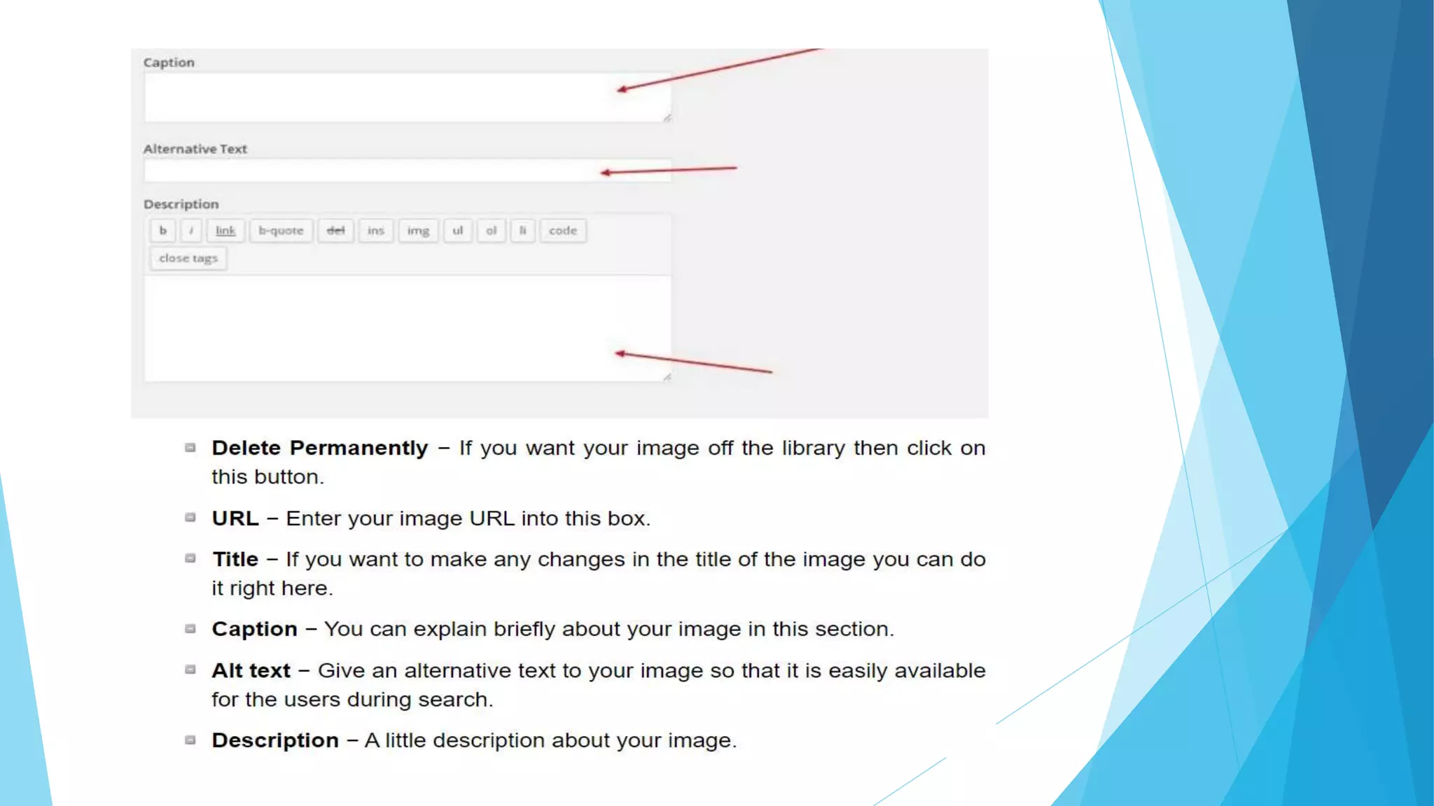 Word press background | PPT