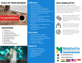 WordPress Development Company | PPT