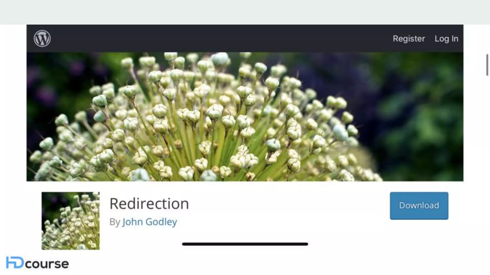 WordPress for Marketer (PolyU) | PPT