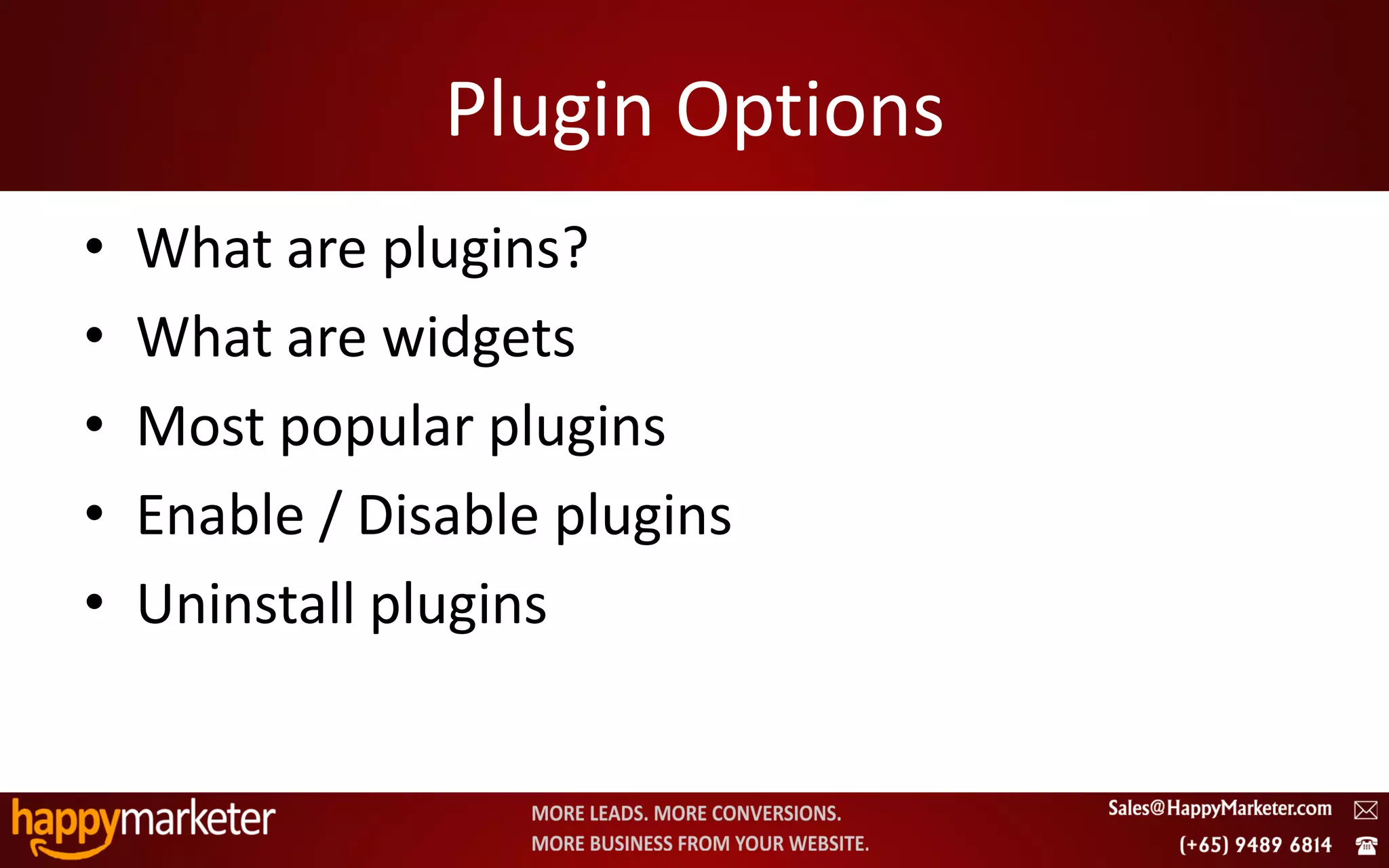 Wordpress 101 Training | PDF
