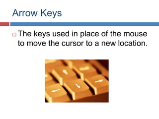 Word Processing Introduction | PPTX