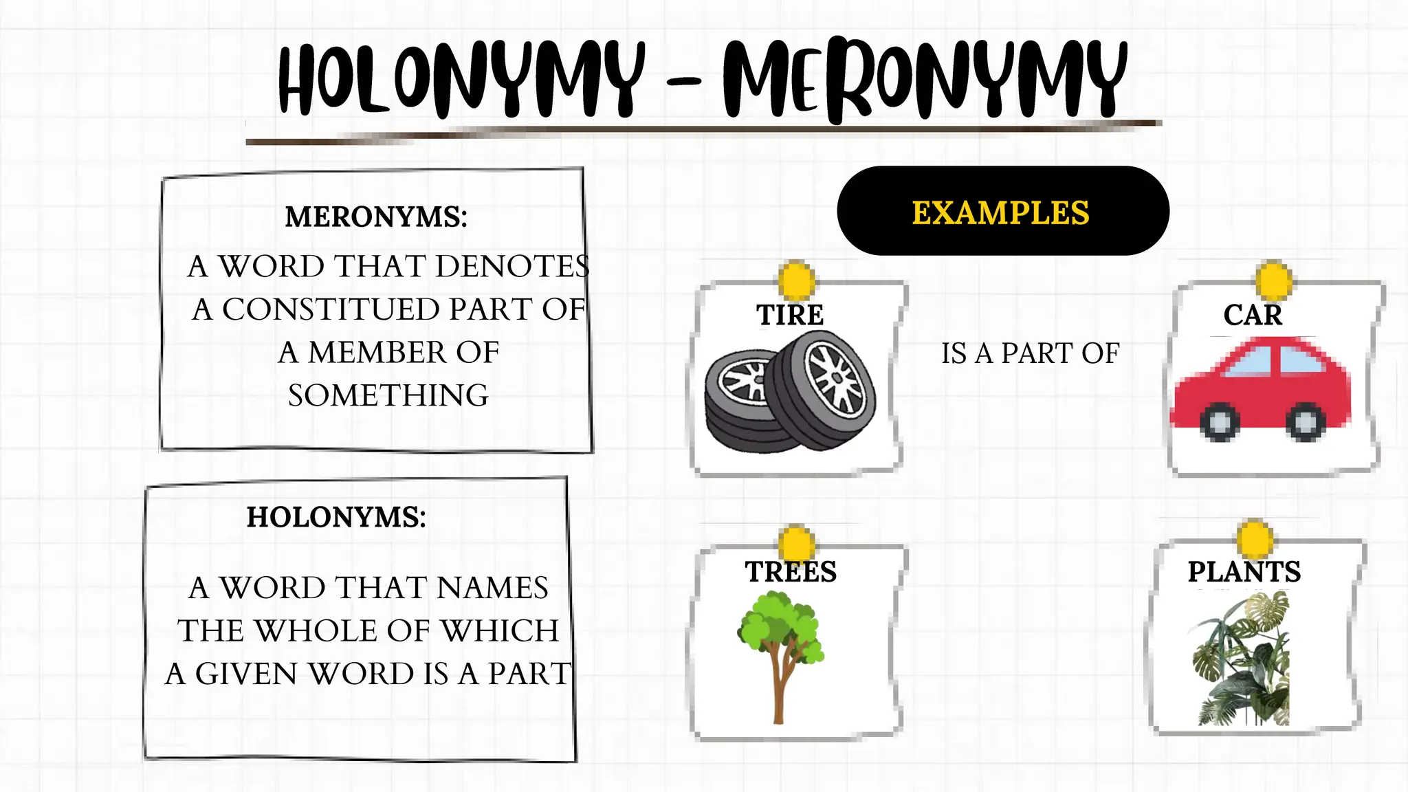 Word Relations and Meanings in Linguistics.pptx