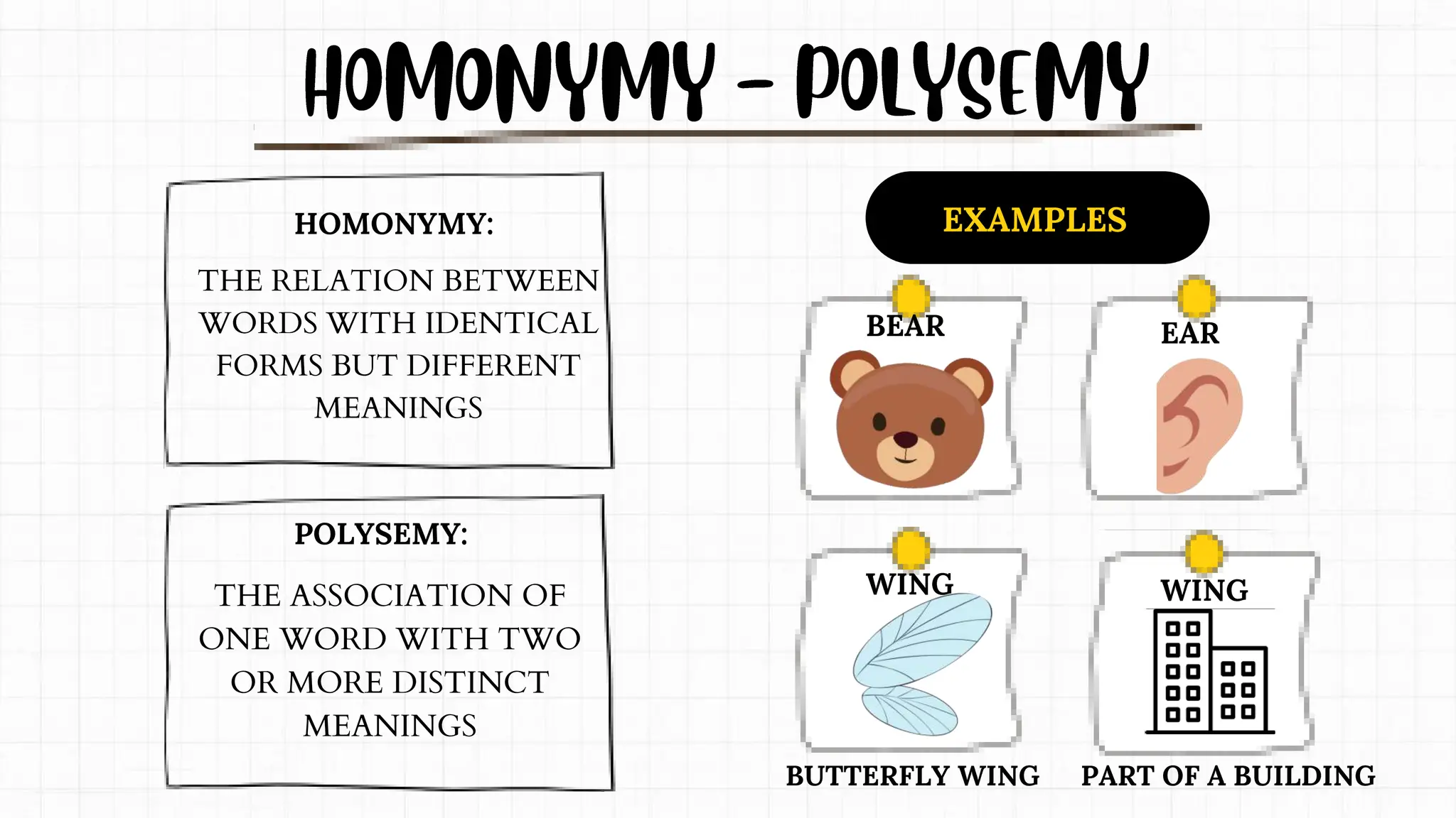 Word Relations and Meanings in Linguistics.pptx