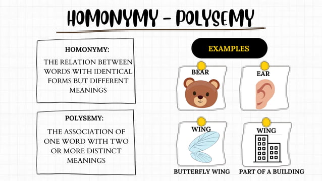 Word Relations and Meanings in Linguistics.pptx