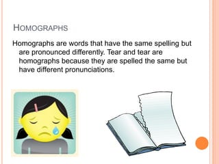 Word relationships | PPTX
