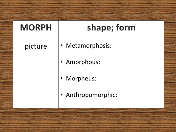 Word Root Of The Week word-root-of-the-week