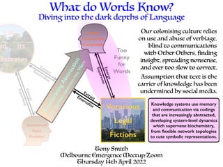 What do Words Know? | PDF