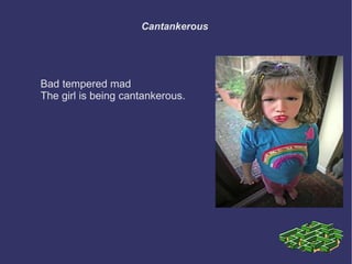 Words3 | PPT | Free Download