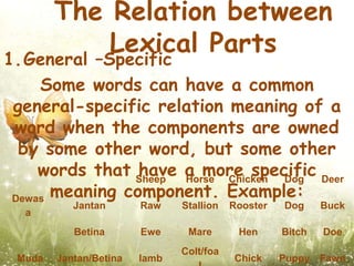 Words and translation | PPT