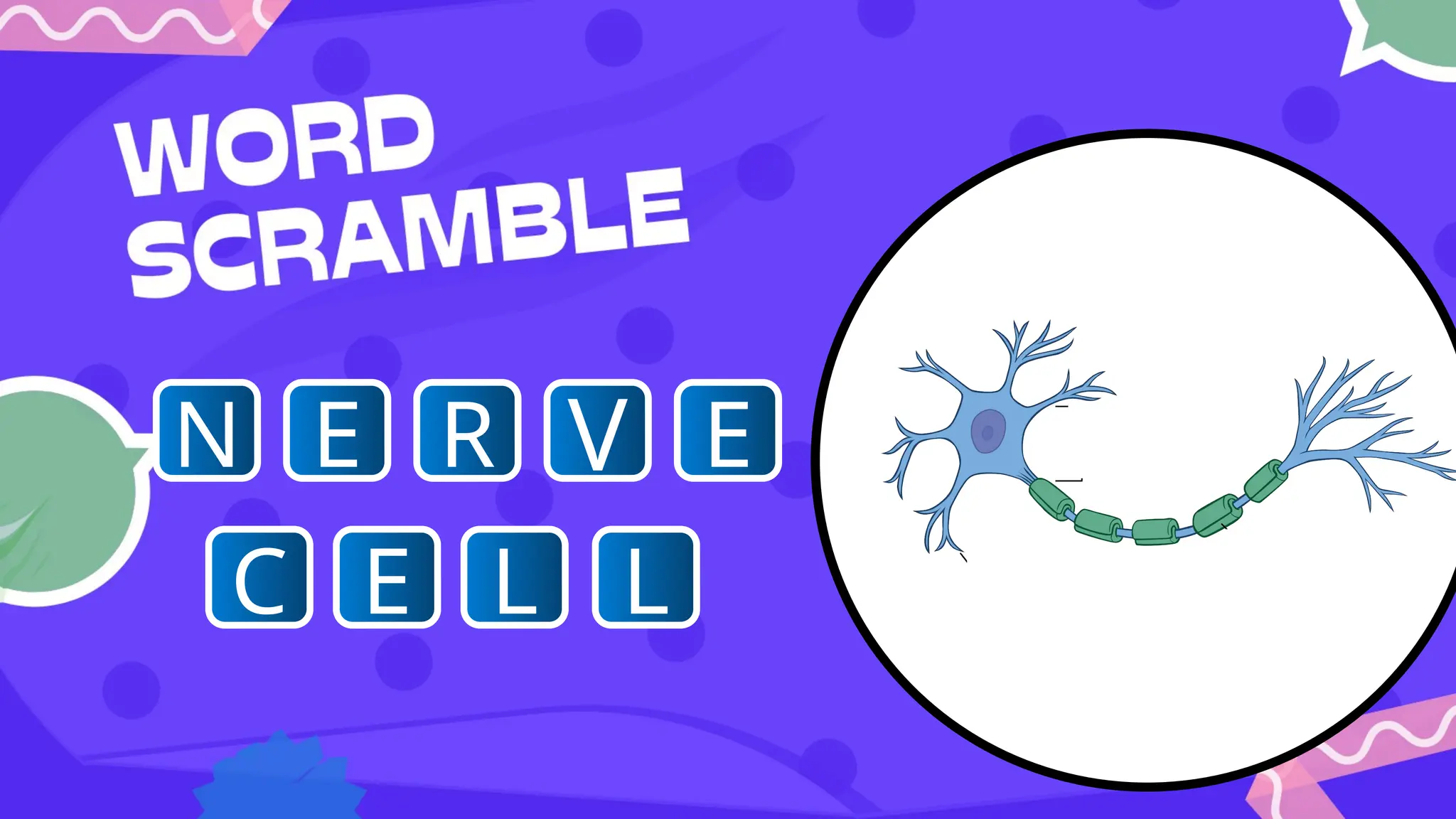 Word Scramble NERVE CELL.pptxbbbbbbbbbbbbbbbbbbbbbbbbbbbbbbbbb | PPTX