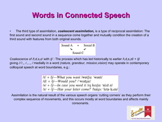 Words in connected speech | PPT