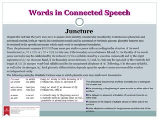 Words in connected speech | PPT