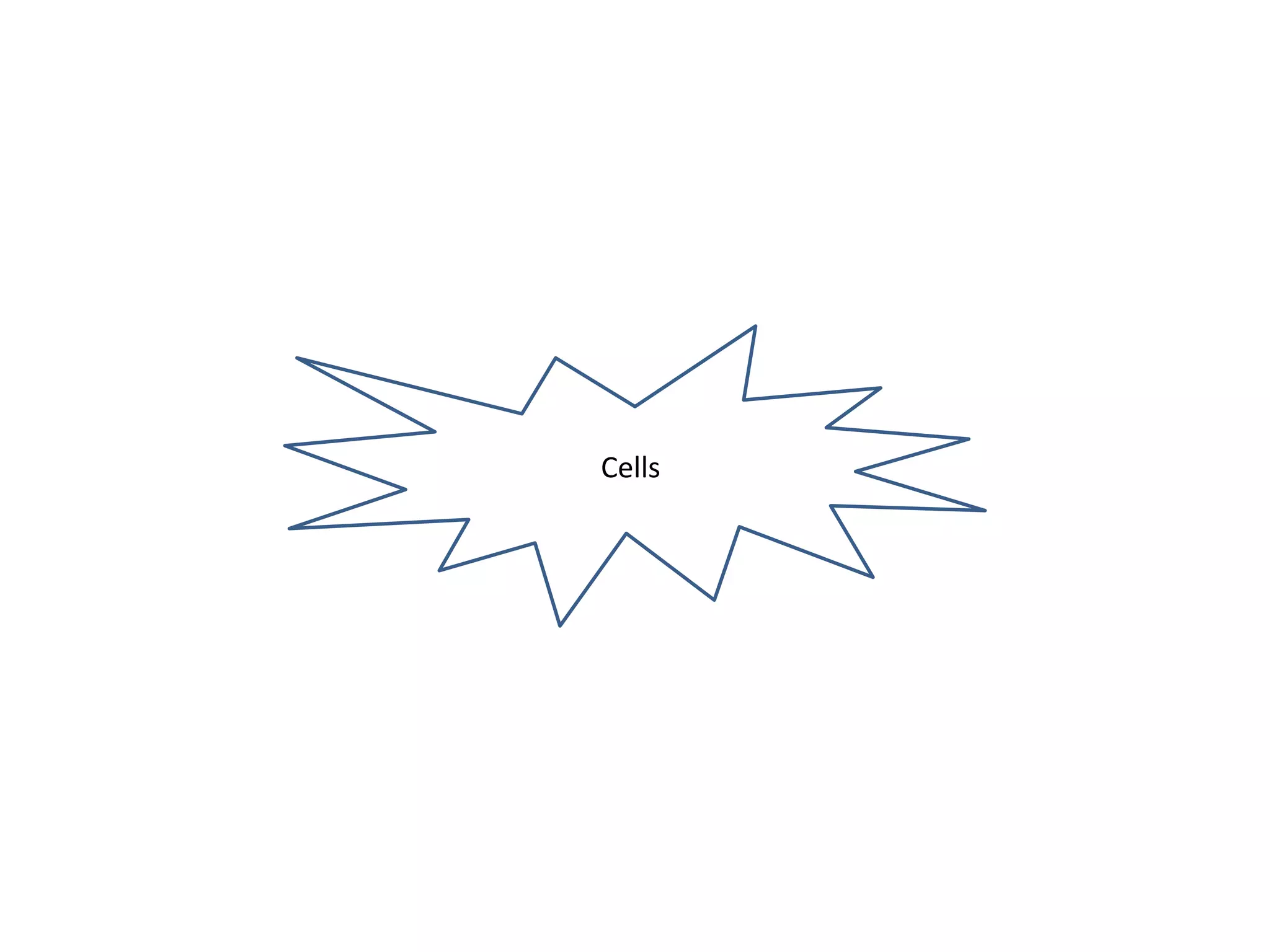 Word splash sample cells | PPTX