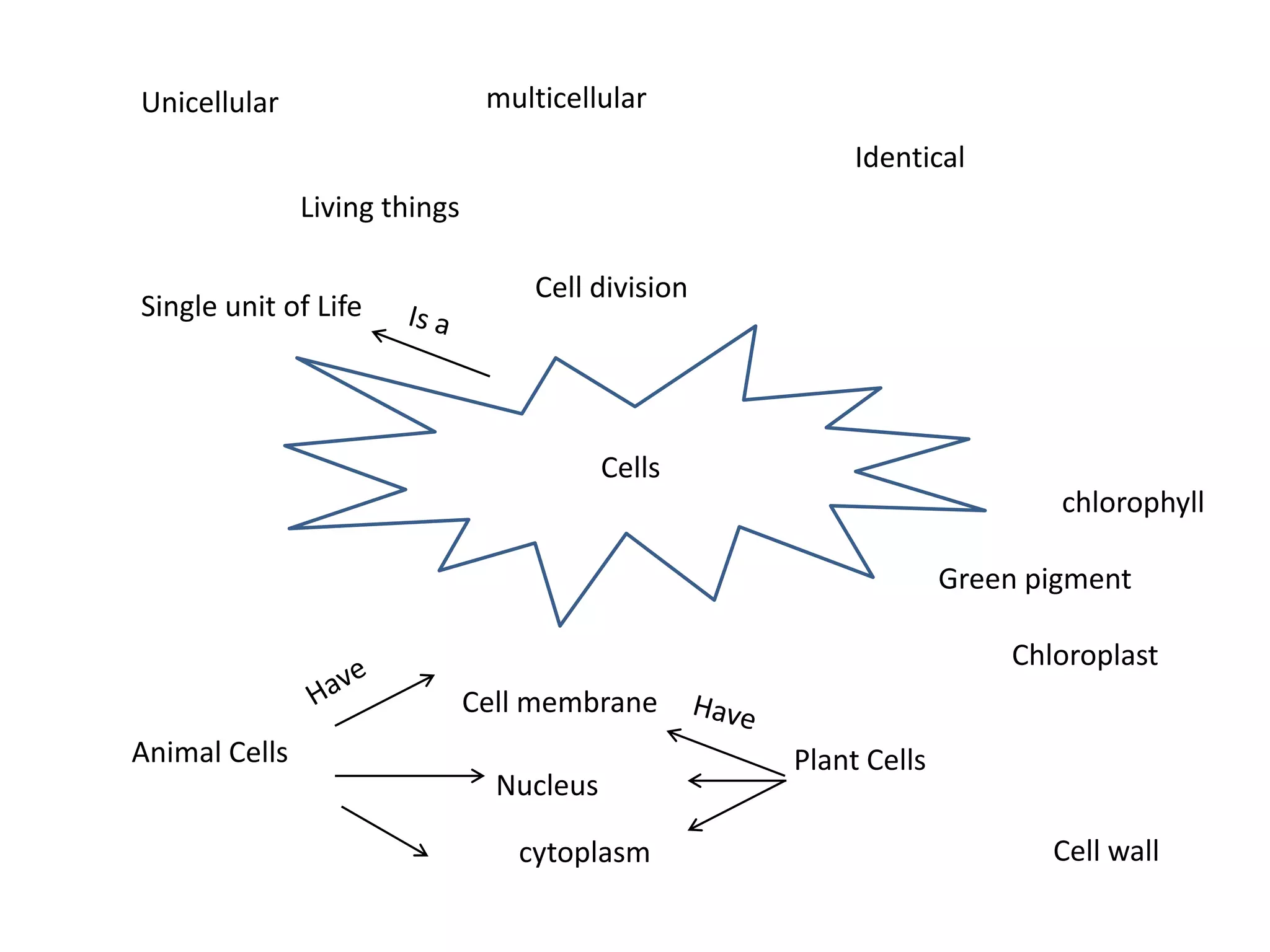 Word splash sample cells | PPTX | Biological Sciences | Science