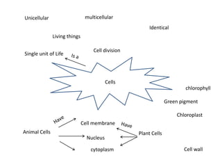 Word splash sample cells | PPTX | Biological Sciences | Science
