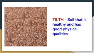 Words related to gardening | PPT