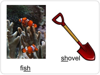 Phonics- Words with ch, th, sh | PPTX
