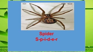 Words with S blends.pptx