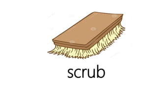 Words with scr , spr-, and str- Blends | PPTX