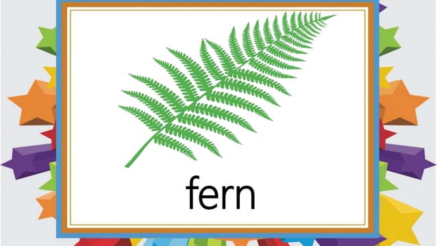 Words with the Final rd, -rk, -rm, -rn, -rp, and -rt Blends | PPTX