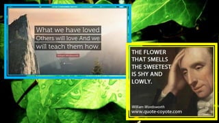 Wordsworth QUOTES | PDF