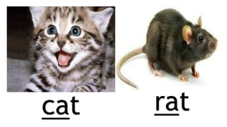word with picture (vowel a).pptx