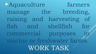 Work task in line with farm-operation.pptx