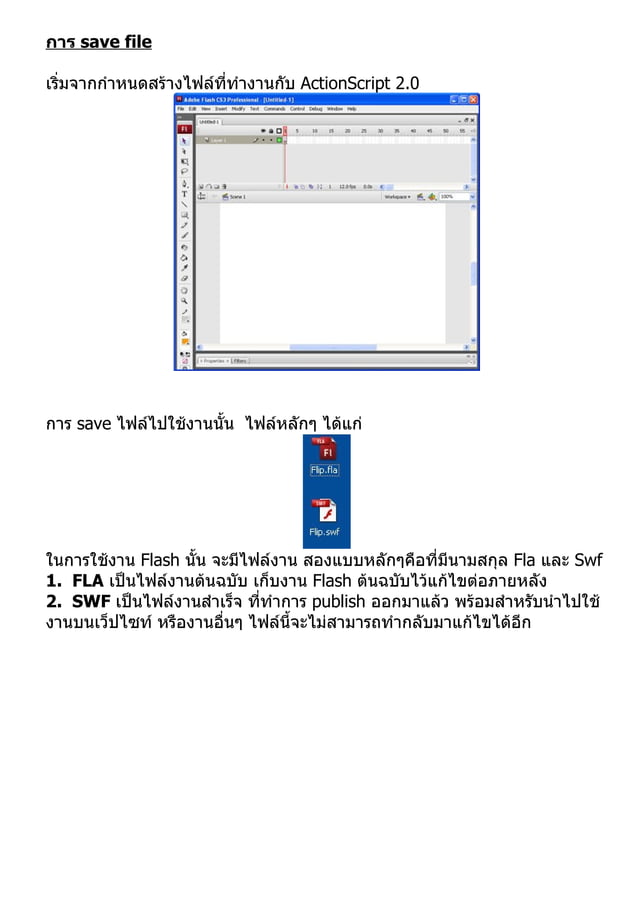 Adobe Flash CS3 | DOC