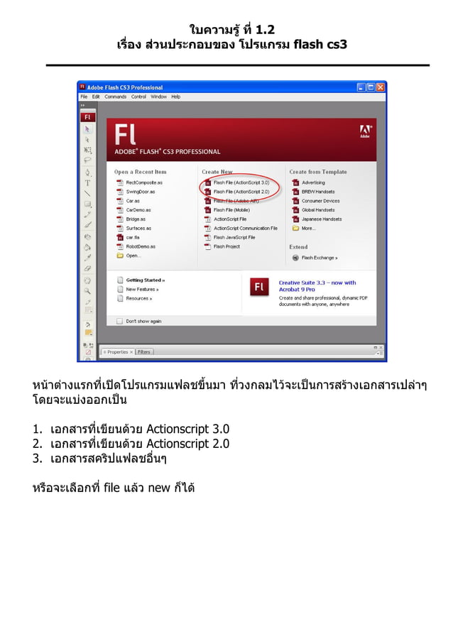 Adobe Flash CS3 | PDF