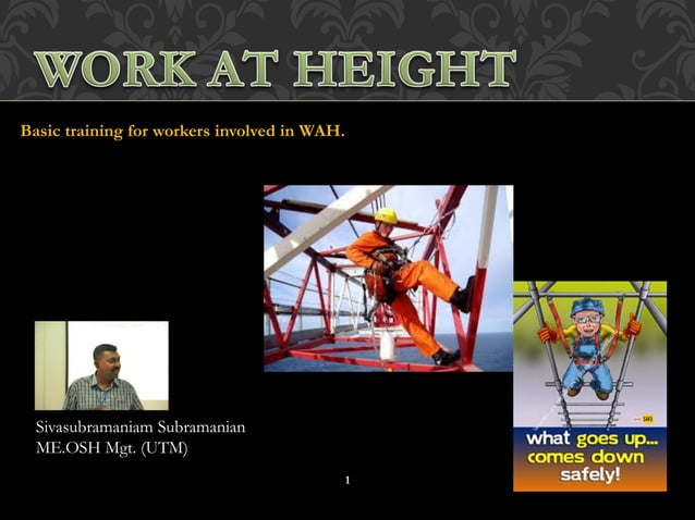 Work at height. The basic needs. | PDF | First Aid | Injuries