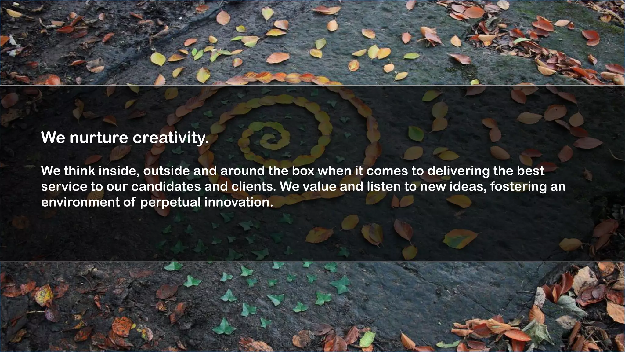 Work at netPolarity | PPT