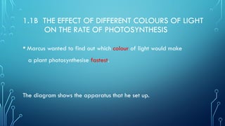 Year 9 Lower secondary Science Photosynthesis Workbook 1.1 & 1.2.pptx