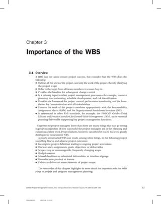Work Breakdown Structure PMI.pdf